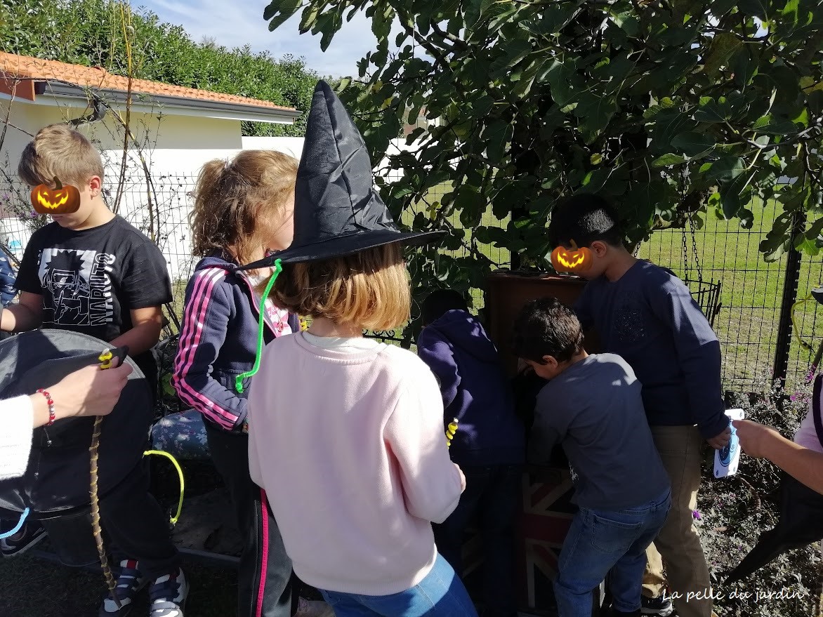 Halloween et la potion magique des apprentis sorciers- du potager ...